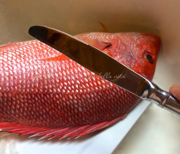 How To Remove Scales from Fish | La Bella Vita Cucina