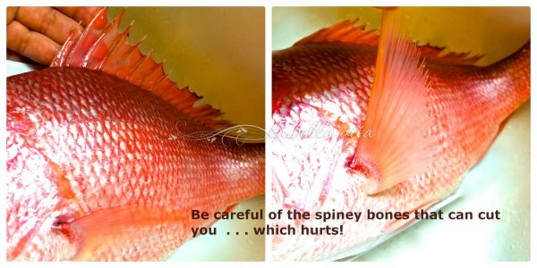 How To Remove Scales from Fish | La Bella Vita Cucina