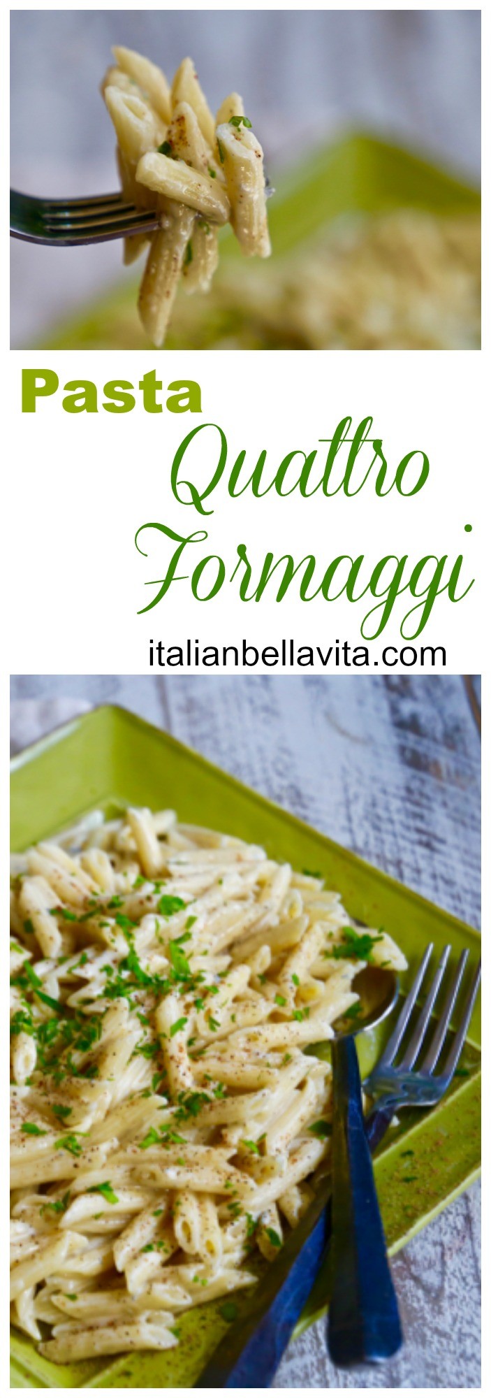 Pasta Quattro Formaggi | La Bella Vita Cucina