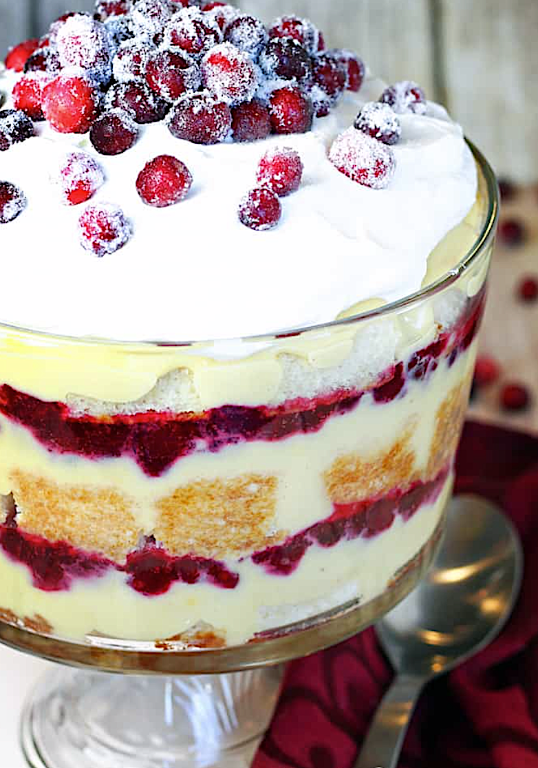 21 BEST Cranberry Recipes To Enjoy the Holidays | La Bella Vita Cucina