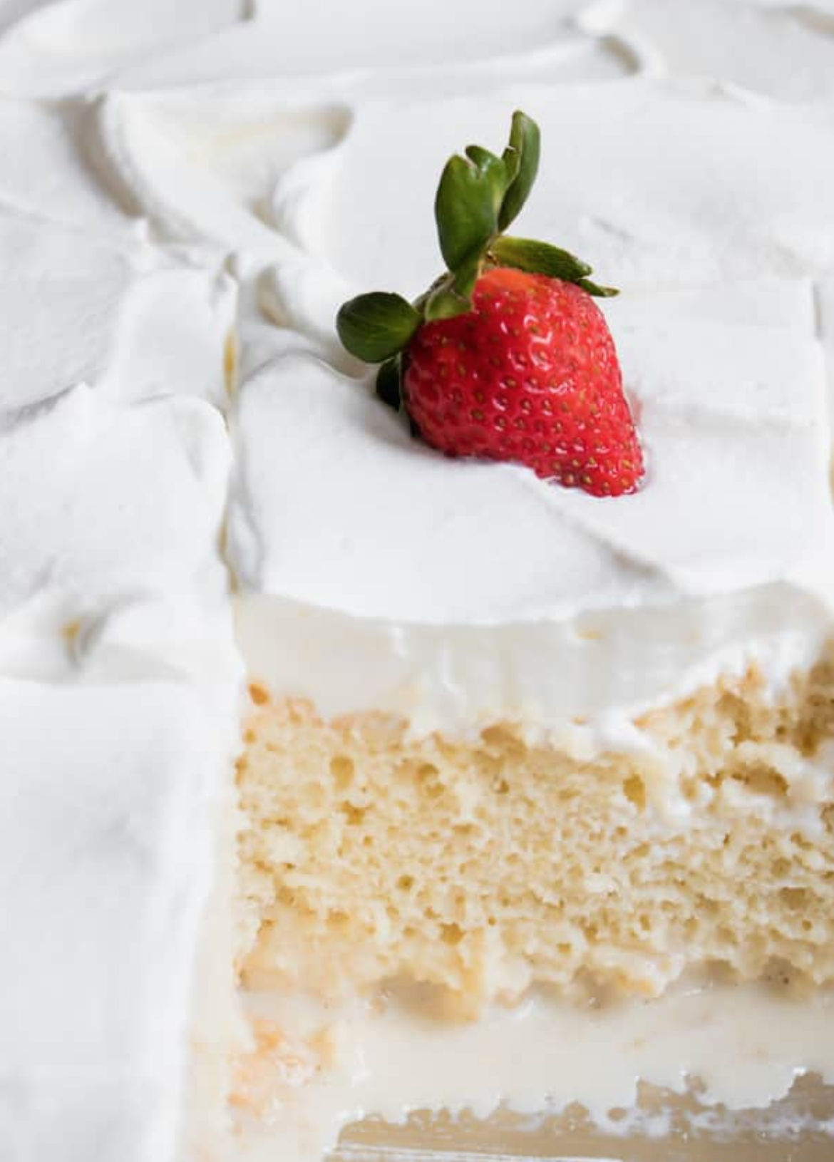 13 Best Tres Leches Cake Recipes | La Bella Vita Cucina