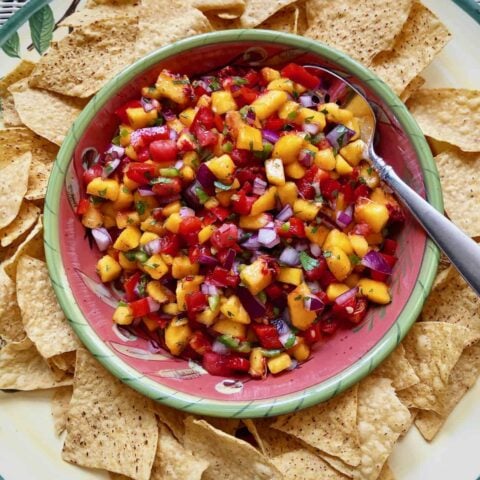 Perfect Peach Salsa that’s Fast and Easy | La Bella Vita Cucina